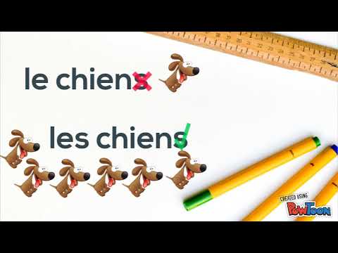 Le pluriel - première année - YouTube