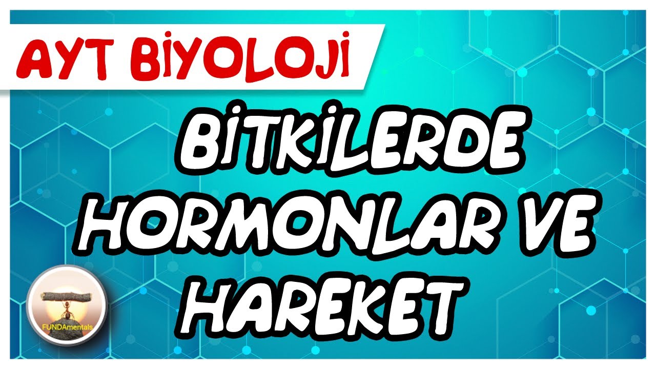 AYT Biyoloji | Bitkilerde Hormonlar ve Hareket #sayfa198 - YouTube