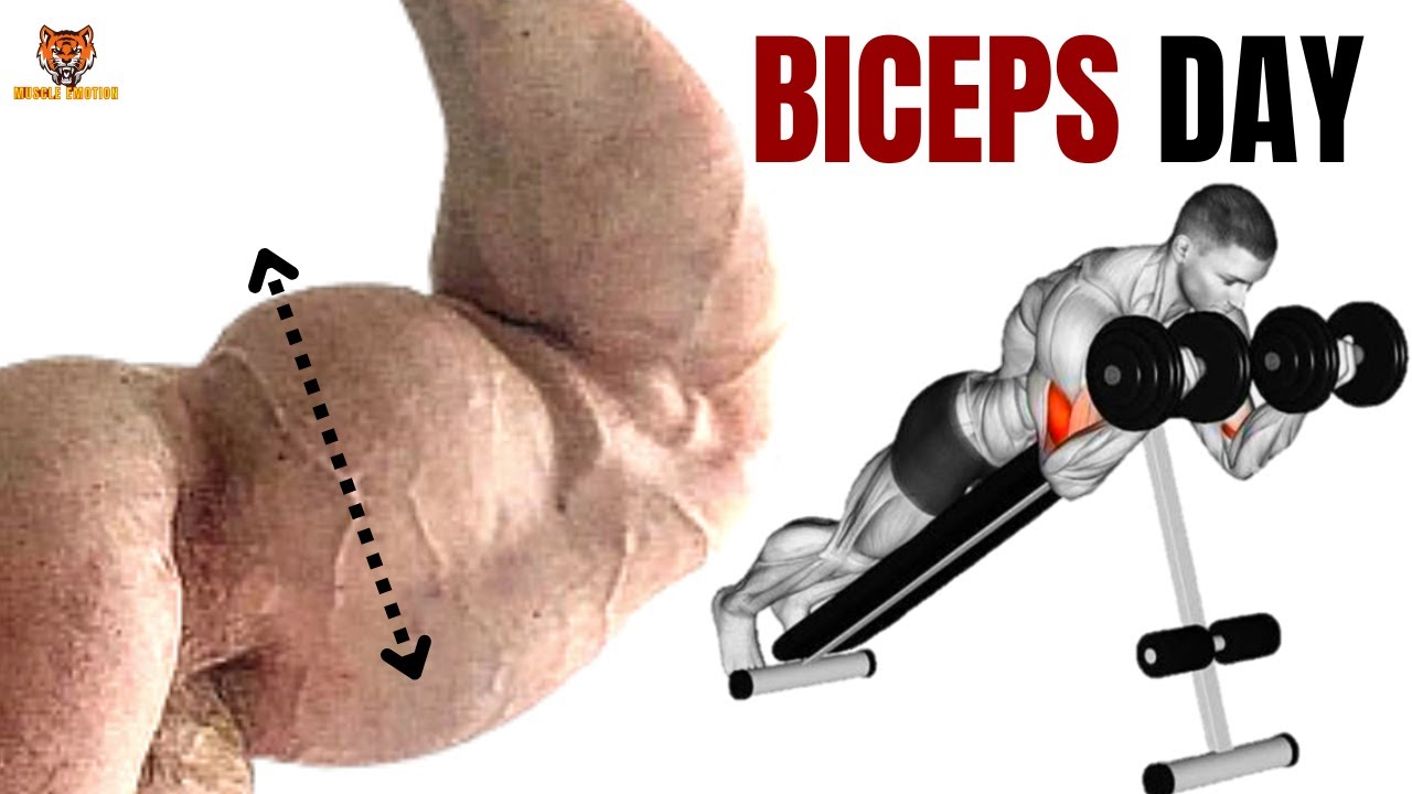 5 BEST BICEPS WORKOUT AT GYM / Les Meilleurs exercices Musculation ...