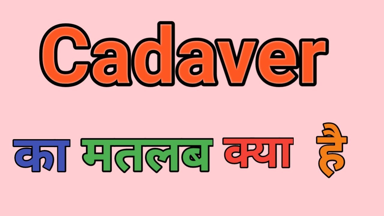 Cadaver Meaning In Hindi || Cadaver Ka Matlab Kya Hota Hai || Daily Use ...
