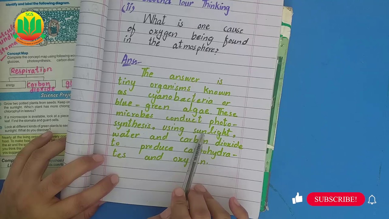 Extend your thinking -- Class 6 Science, Lecture 14 - YouTube