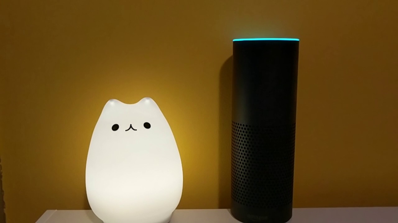 Angry Alexa - Having Amazon Echo order a pizza - YouTube