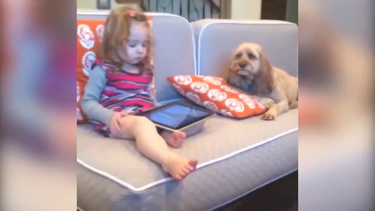 most Shocking Video,amazing world video - YouTube