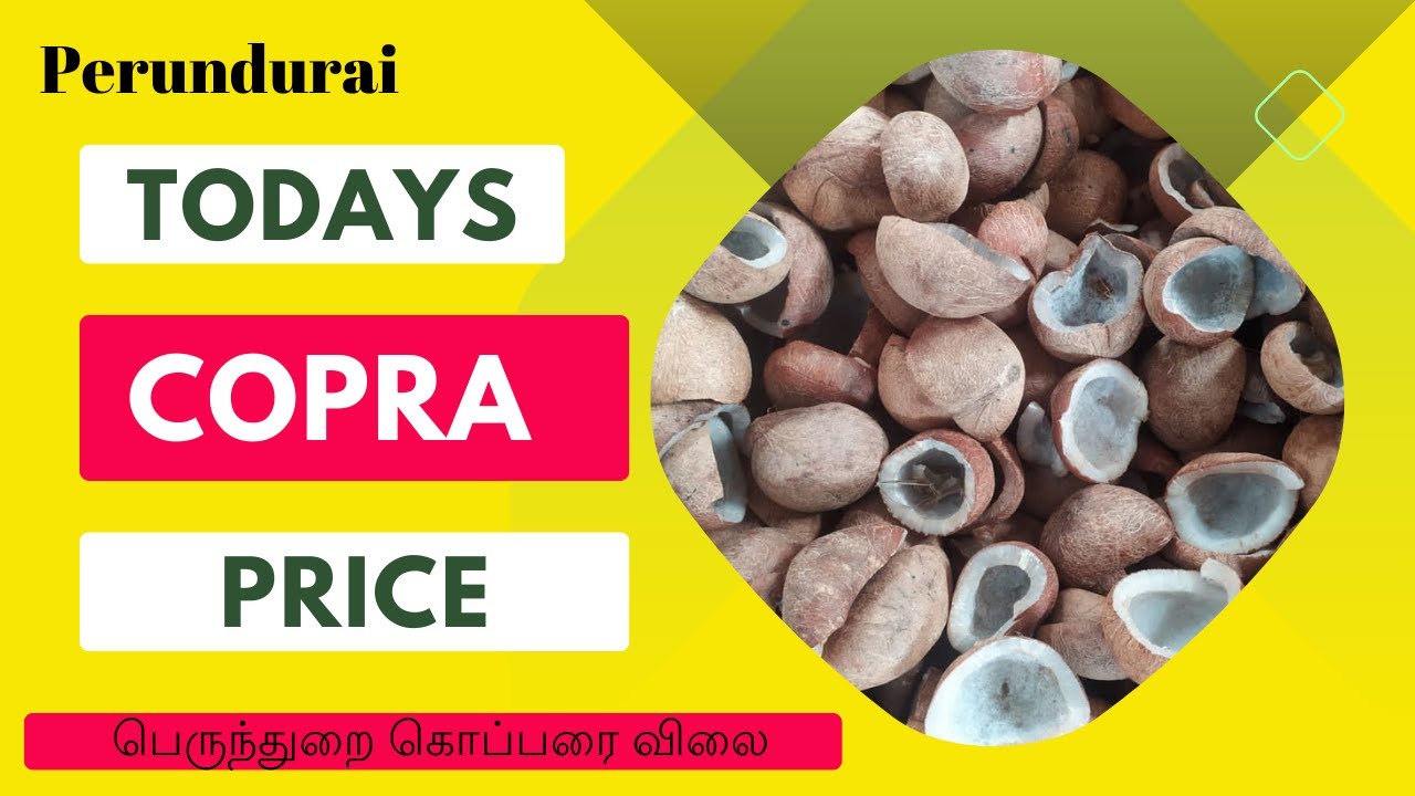 Perundurai Copra Rate Today | Online Sources For Copra Price Updates ...
