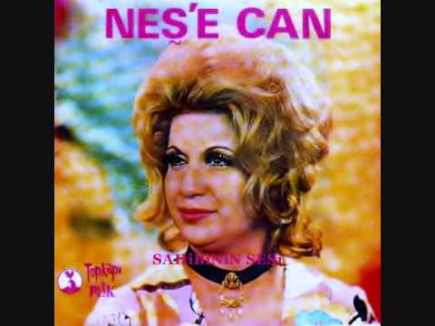 Neşe Can - BİR ALEV BİR IŞIK SENİN BAKIŞIN