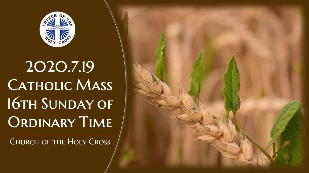 Catholic Mass Live Online 16th Sunday in Ordinary Time - 18/19 July ...