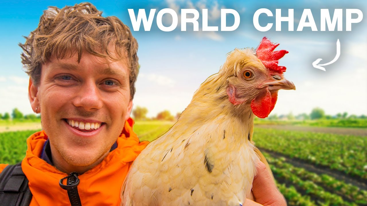I Entered A World Championship Chicken Race - YouTube