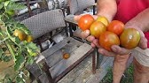 розовый де барао с носиком - YouTube