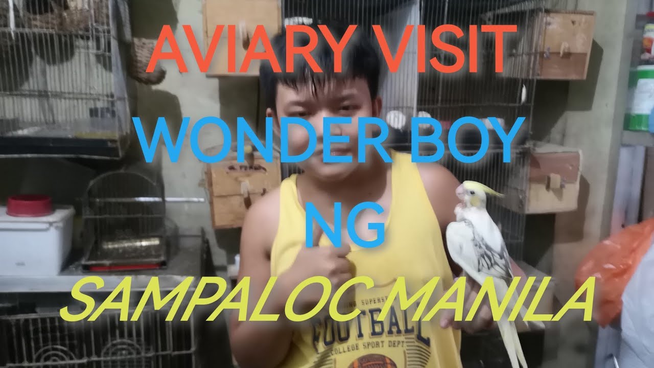 AVIARY VISIT Wonder Boy Ng Sampaloc Manila vlog#147 - YouTube