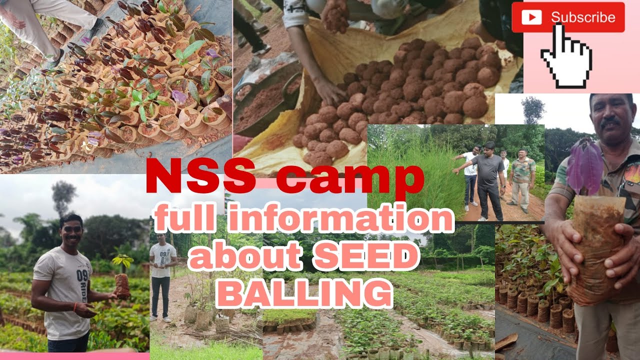 Nss camp|| what is this seed balling🤔|| planting full information by ...