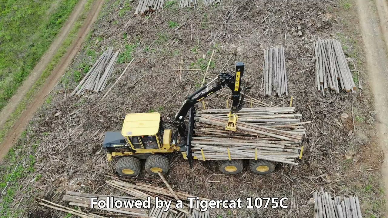 Tigercat LH845E Log Max E6 Tigercat 1075C - YouTube
