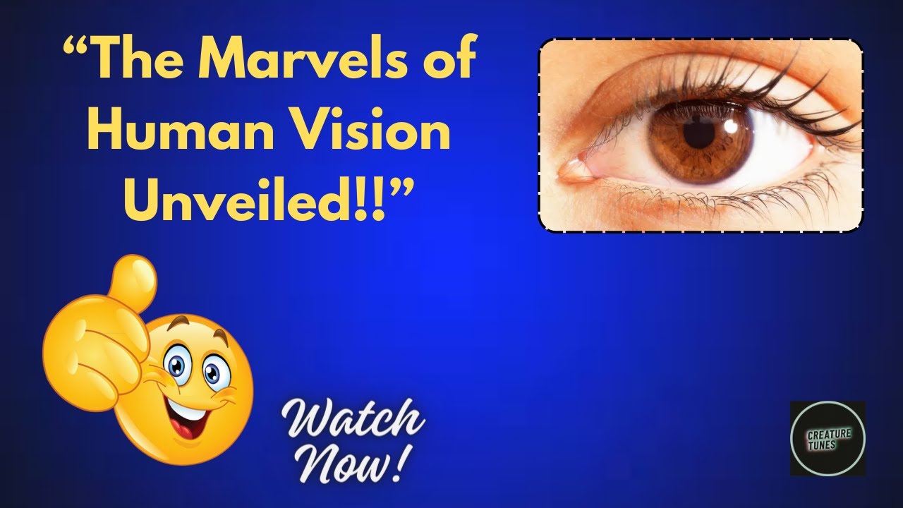 "The Marvels of Human Vision Unveiled!" | "Human Eye & It's Working ...