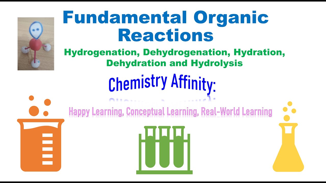 Fundamental Organic Reactions Hydrogenation Dehydrogenation