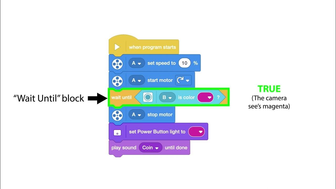 Fundamentals of Coding with SPIKE Essential: Strawberry Sorter WaitUntil Program Flow - YouTube