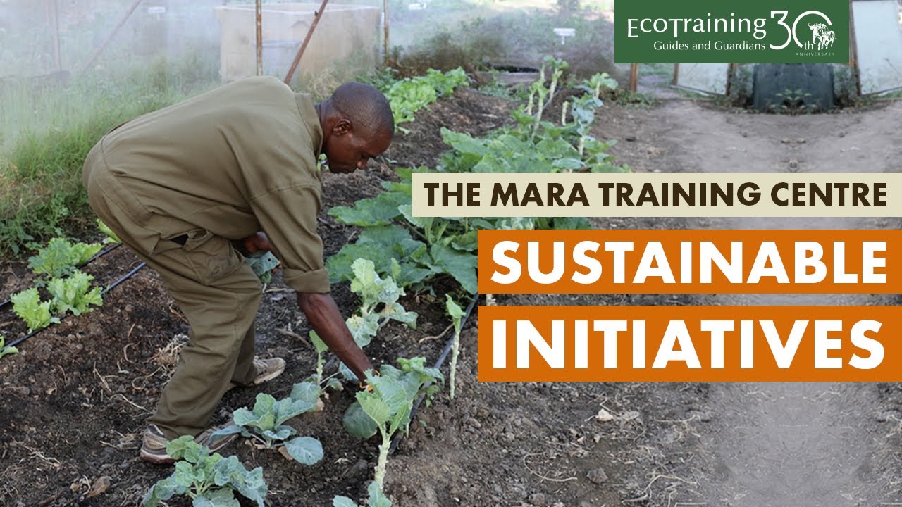 Discover the Training Mara Centre | Interview with Diana and Adam ...