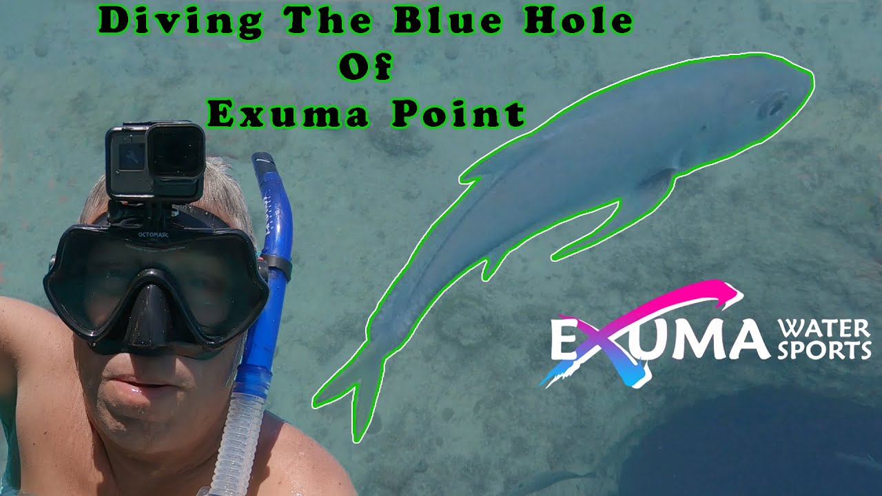 Diving The Blue Hole of Exuma Point Bahamas - YouTube