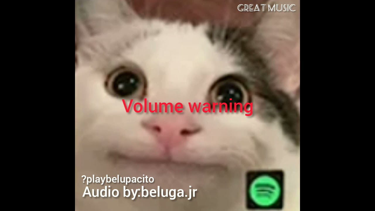 Beluga-Belupacito(official audio) - YouTube