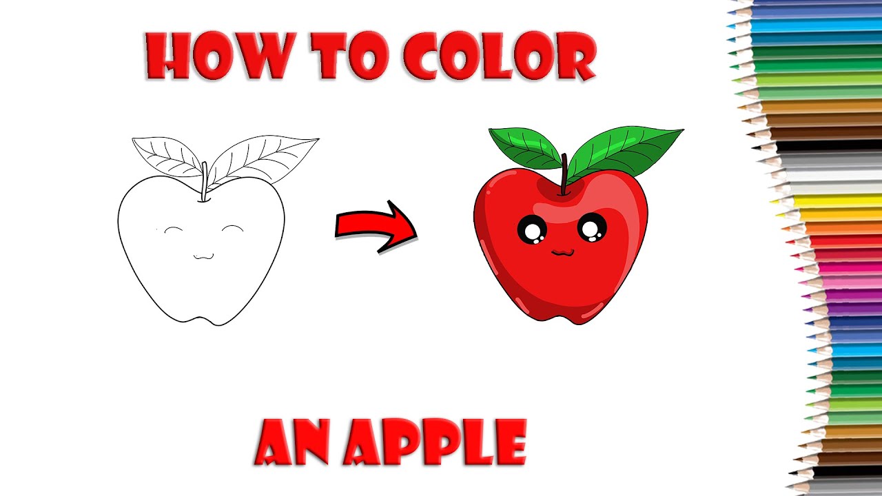 How To Color An Apple | Easy Coloring Guide For Kids:- - YouTube