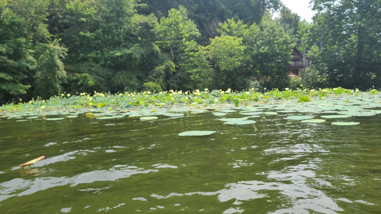 A Kayak Trip Around Lake Logan! Beautiful Hocking Hills Scenery! - YouTube