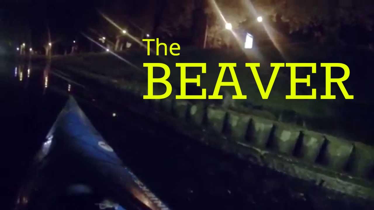 Kayaking with Beavers in Latvia - YouTube