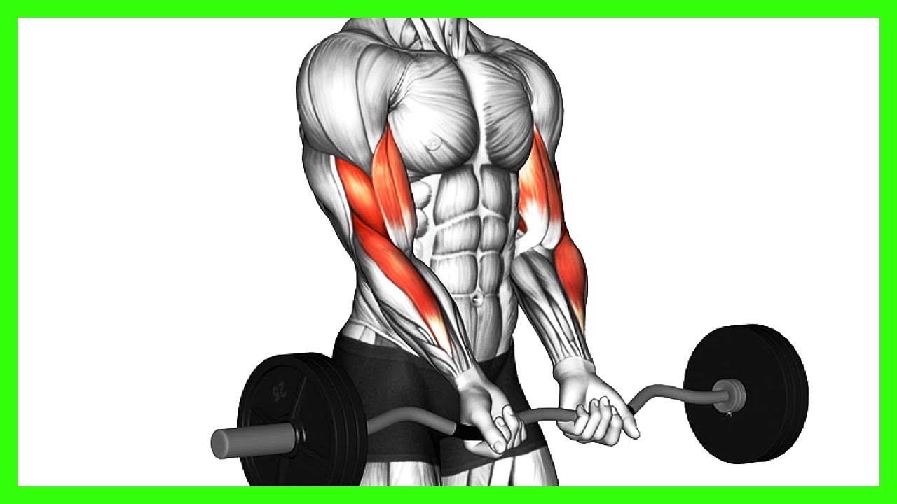 Top Exercises to Boost Arm Size Quickly - YouTube