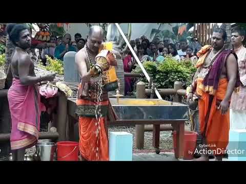 Thaipoosam cavadee 2018 kovil chebel - YouTube
