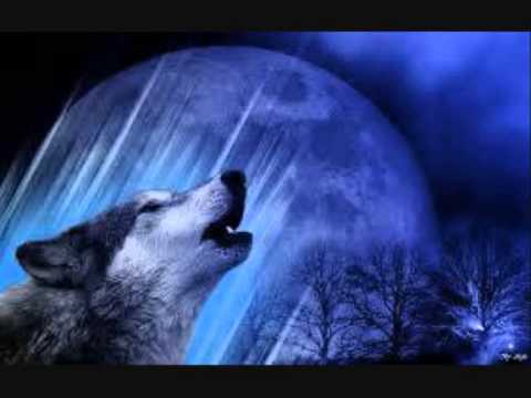 KaCeK- Szary Wilk     prod. Average