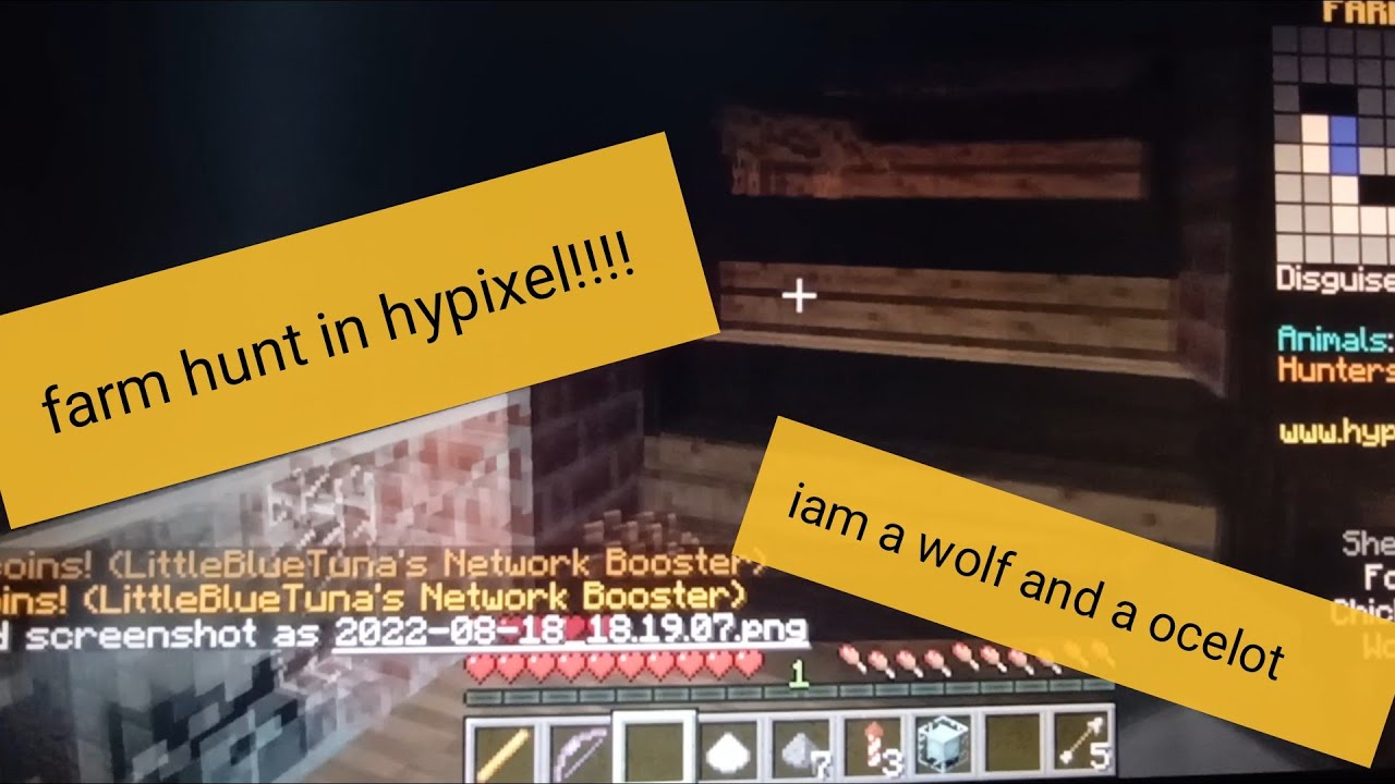 Minecraft hypixel farm hunt!!! - YouTube