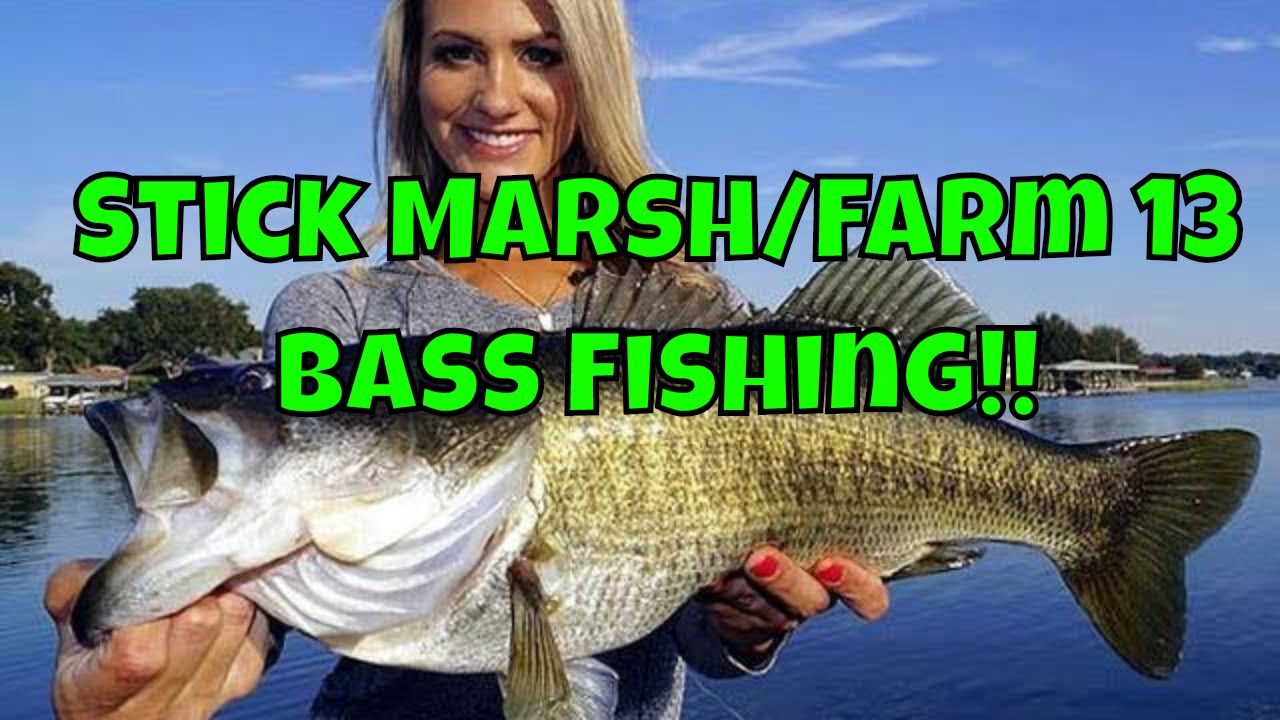 Stick Marsh Bass Fishing - Farm 13 - YouTube