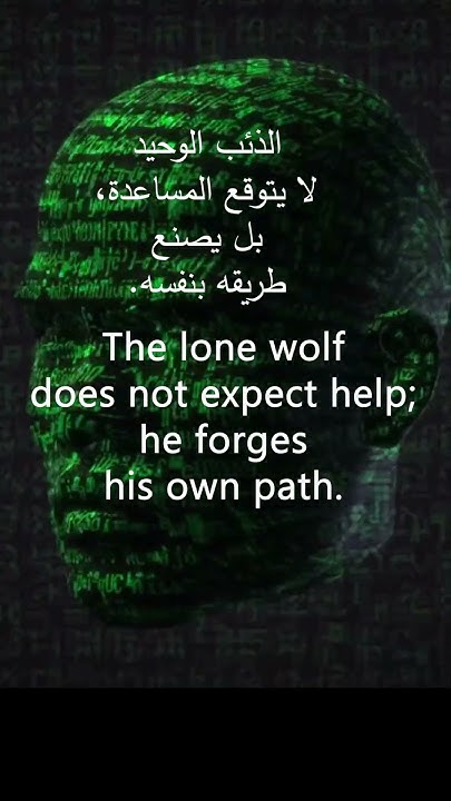 lone wolf #sqlattack #programming #WOLF #lonlystatus - YouTube