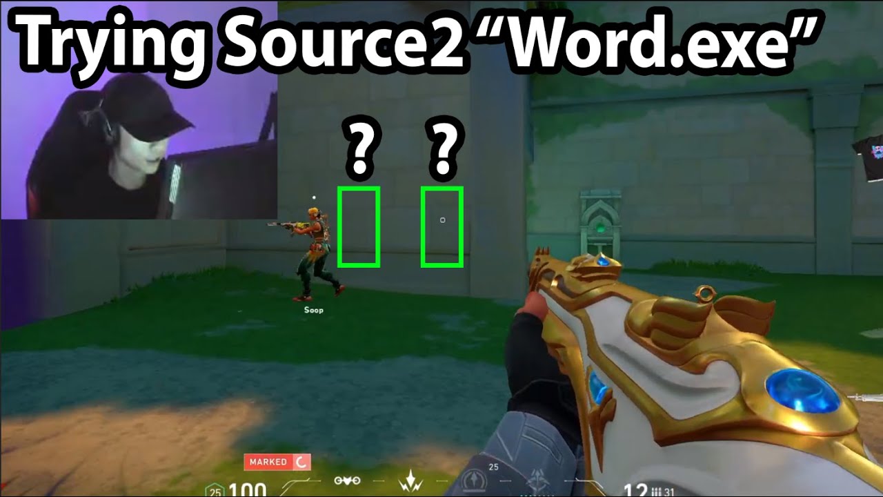 Stewie2K brings his "word.exe" from CSGO to Valorant... - YouTube