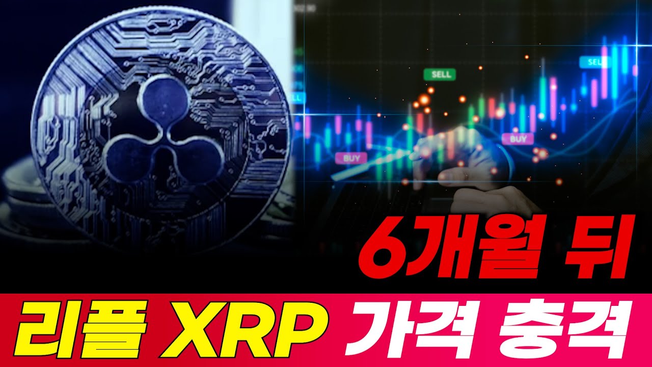 리플 축배를 들어라 120 초강세 세력 패턴 비트코인도 달리고 리플도 달리고 리플 리플코인 리플전망 Xrp