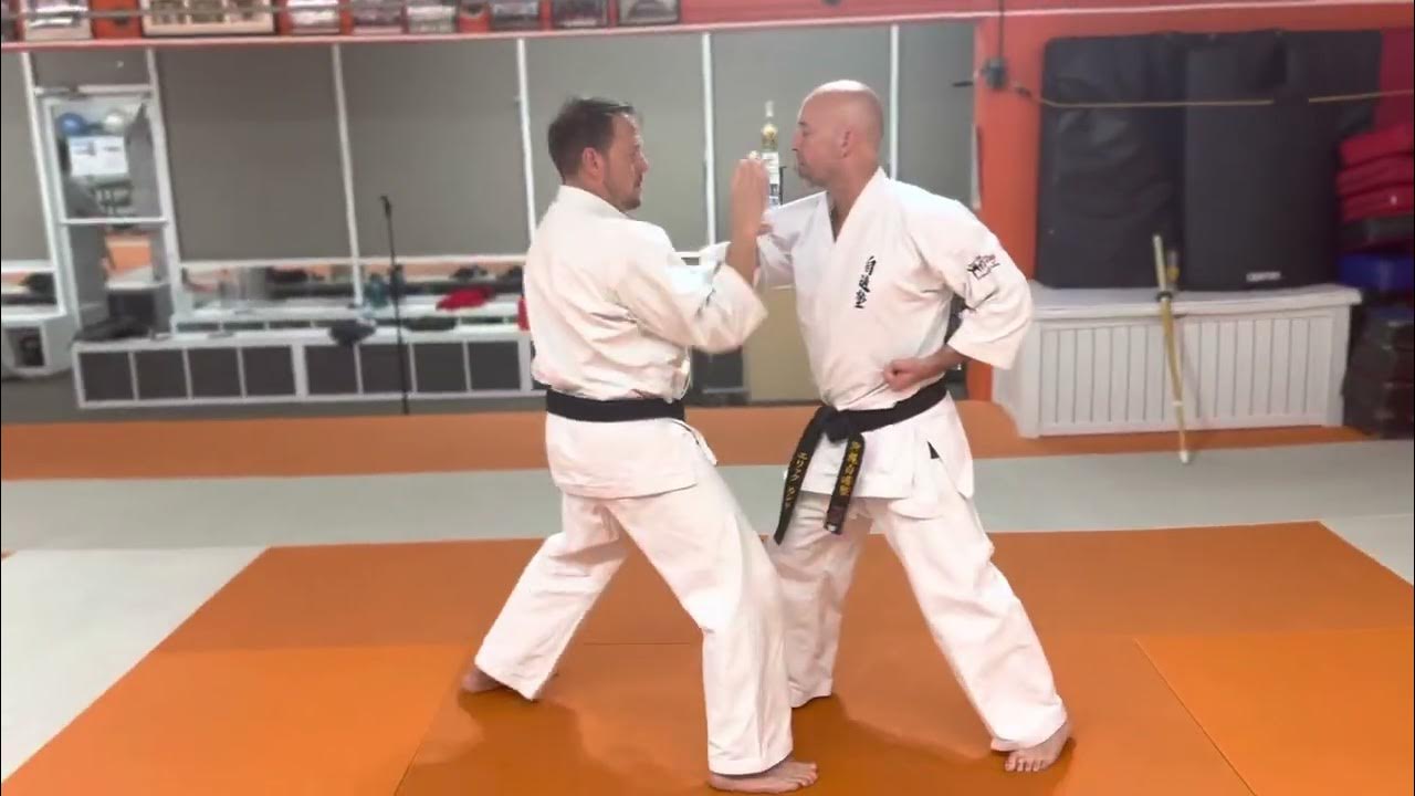 Uechi Ryu Seisan Bunkai Practice - YouTube