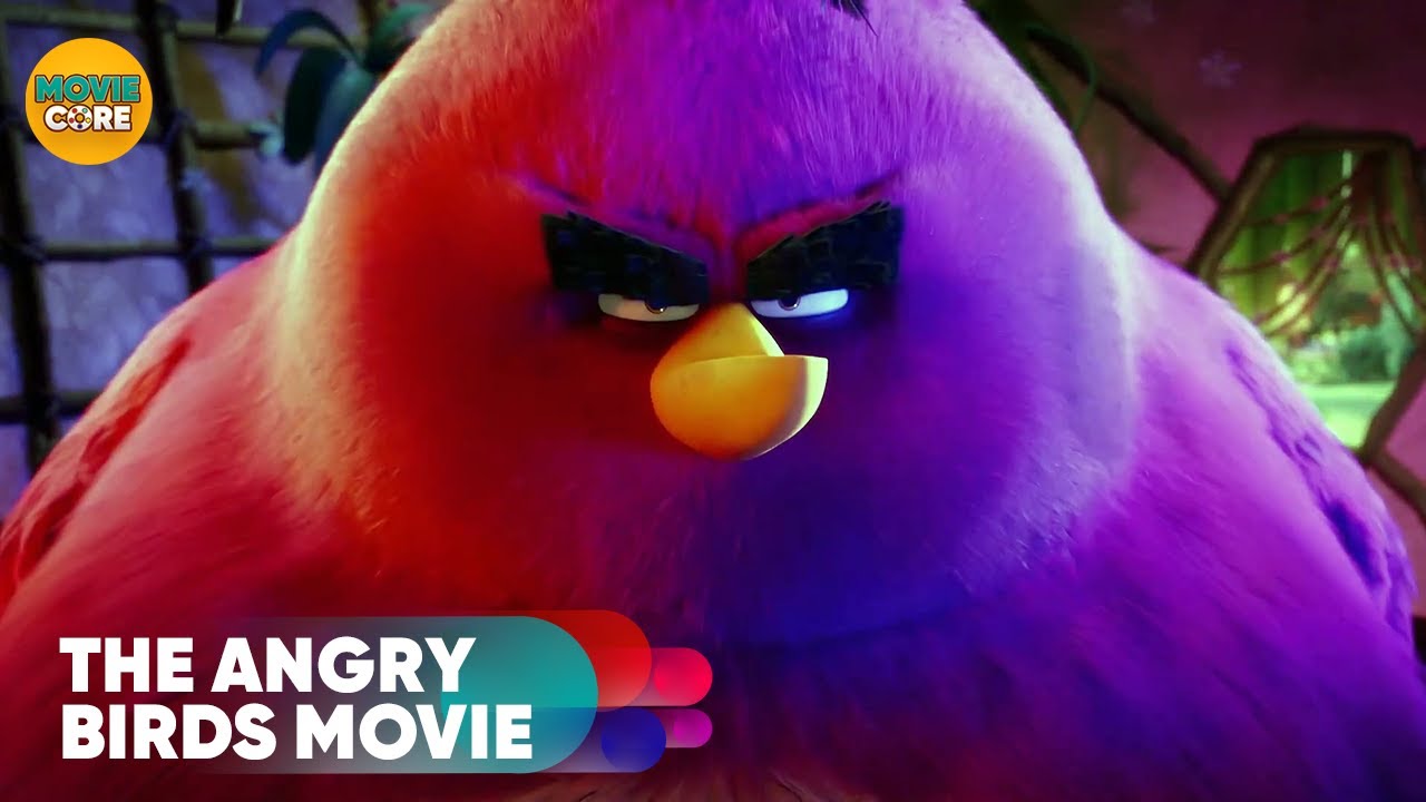 Red Goes To Anger Management | The Angry Birds Movie | MovieCore - YouTube