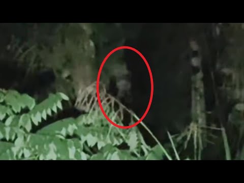Ghost Sightings Caught On Camera Compilation part 459 - YouTube