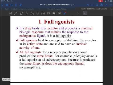 Pharmacology Lecture 15 part 2 - YouTube