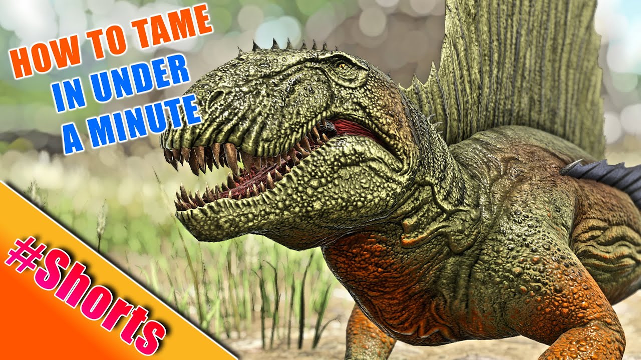 HOW TO TAME AN DIMETRODON | Ark Survival Evolved #Shorts - YouTube