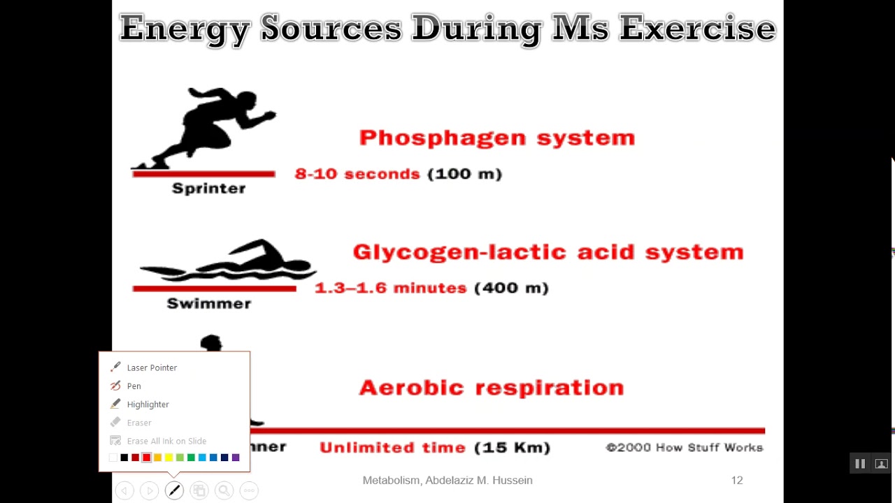 Metabolic Aspects During Exercise - YouTube
