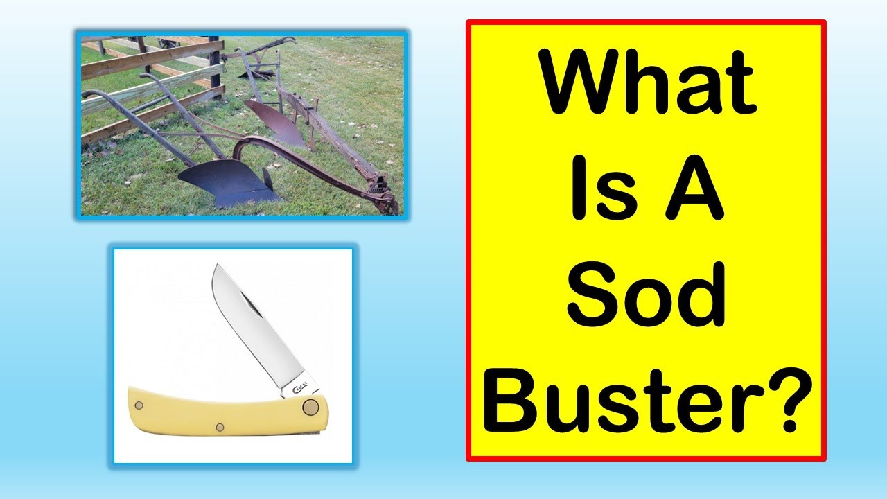 Sodbuster Sunday! A Case Sodbuster, Jr. @Hunting4Hookers - YouTube