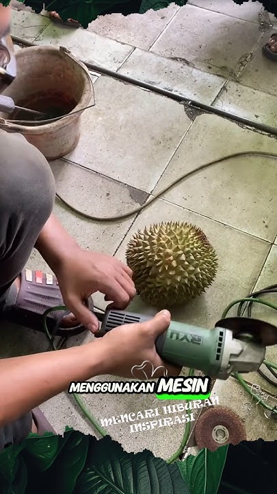 Belah Duren ala Tukang #shorts #buah #durian - YouTube