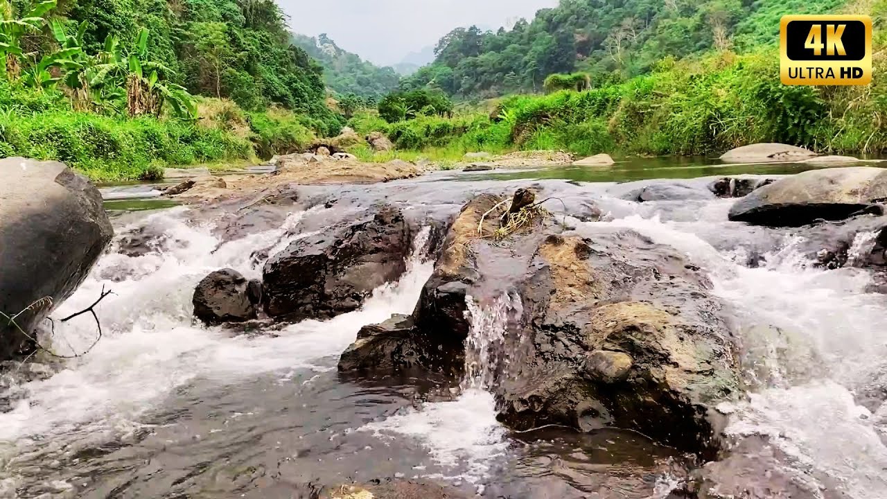 Nature River Sounds For Sleeping, flows between rocks, white bubbles ...