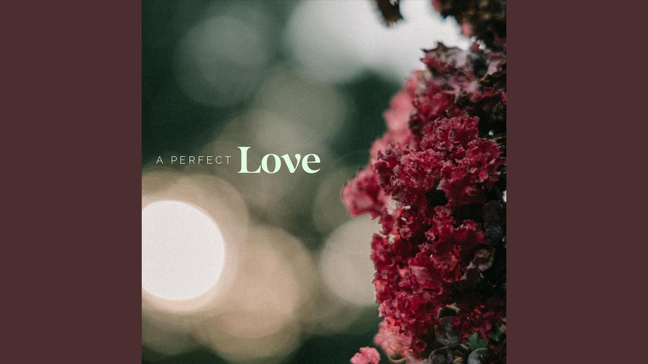 A Perfect Love - YouTube