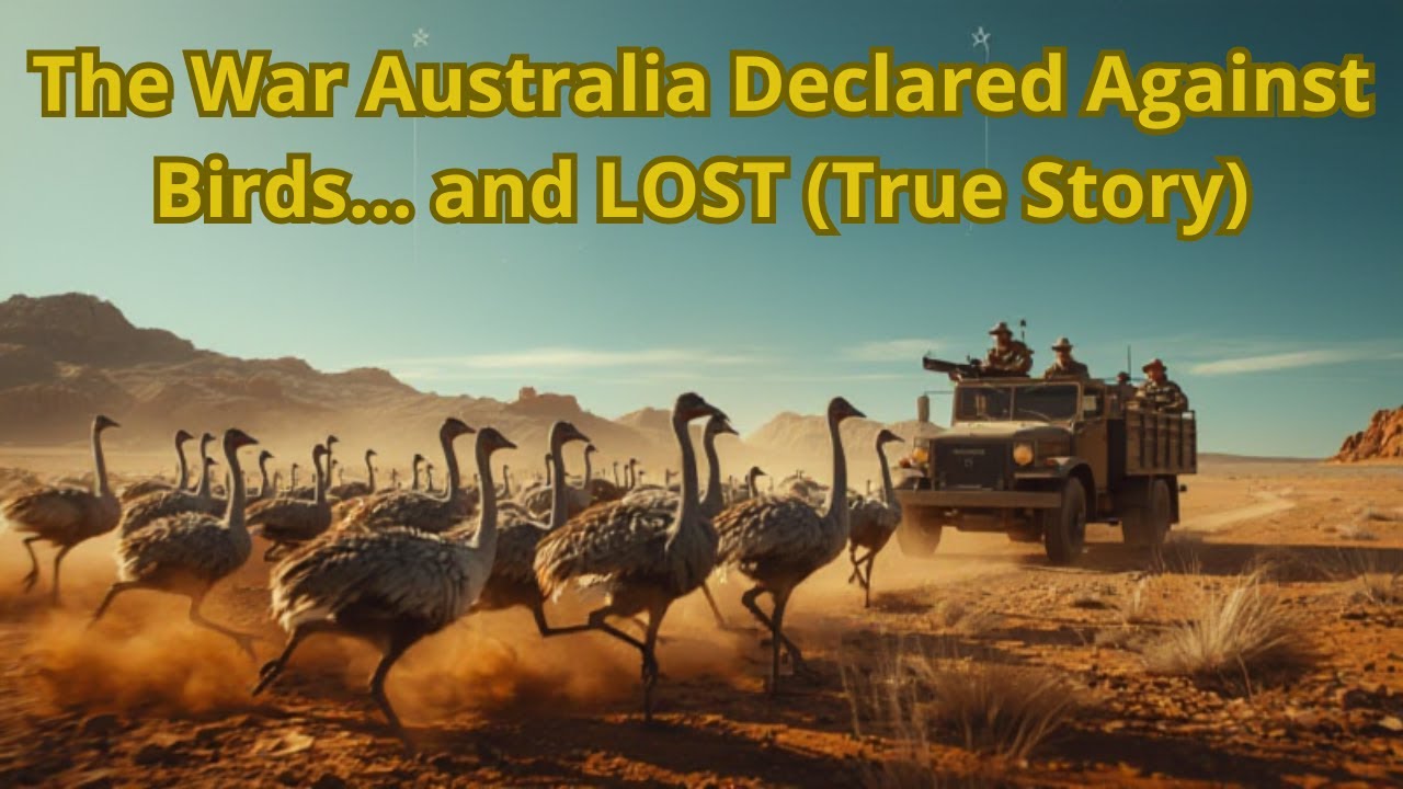 The War Australia Declared Against Birds... and LOST (True Story) - YouTube