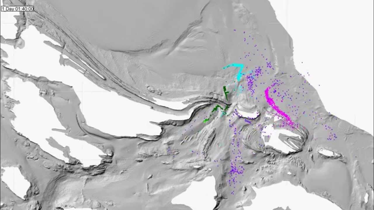 2D Tidal Lagrangian Particle Test #3A 1 day and 16 hours - YouTube