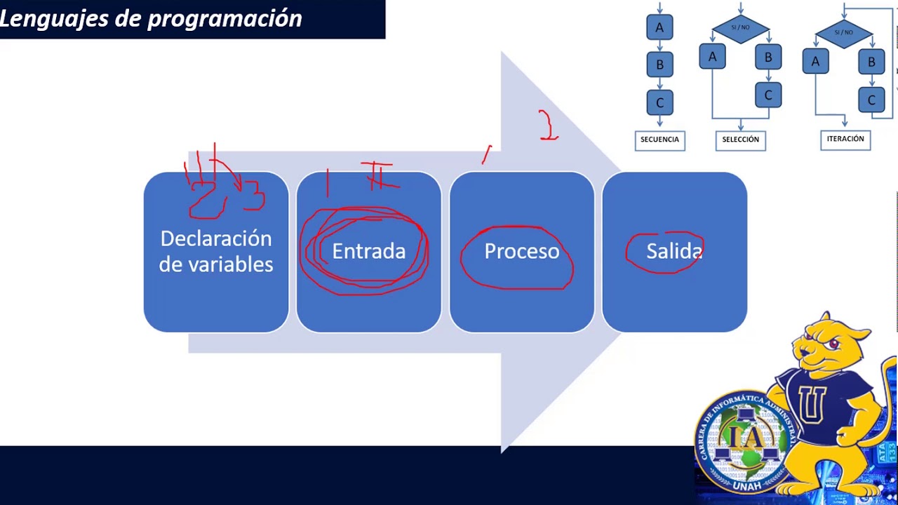 Paradigma Programación Estructurada - Funciones - YouTube
