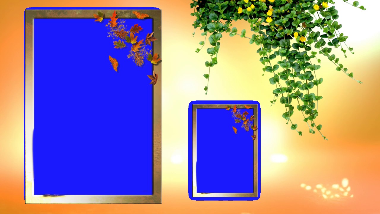 Blue Screen Wedding Background Animated Video - YouTube