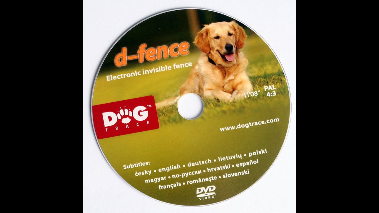 Elektrický ohradník pro psy Elektronický - Neviditelný plot - YouTube