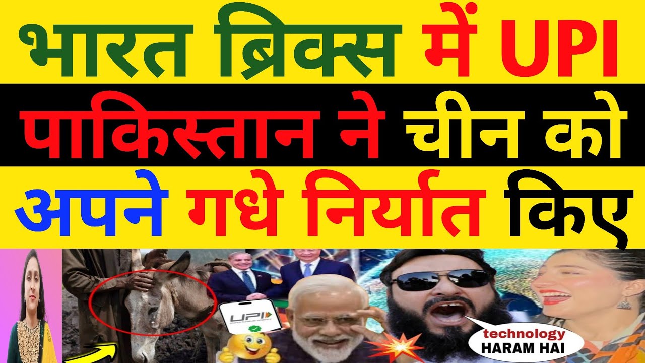 UPI in India BRICS, Pakistan exported its donkeys to China - YouTube
