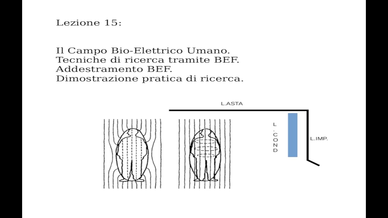 L-Rods: Lezione 15, Tecniche di ricerca e addestramento con il Campo ...