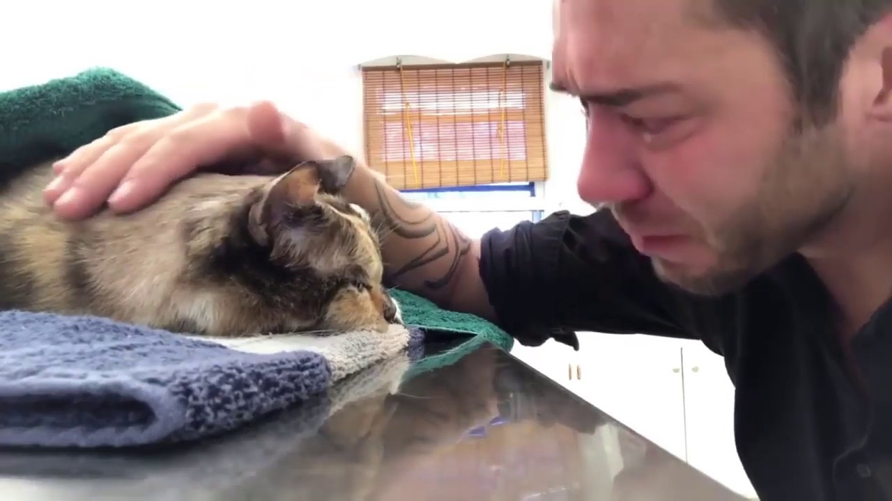 Painful video💔A young man cries over his cat which has lived for 13 ...
